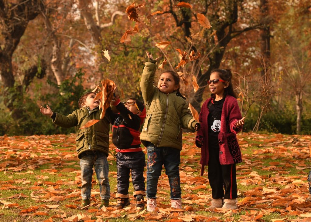 Video: Kashmir’s Season Of Fire & Grace: Srinagar’s Iconic Spots In ...