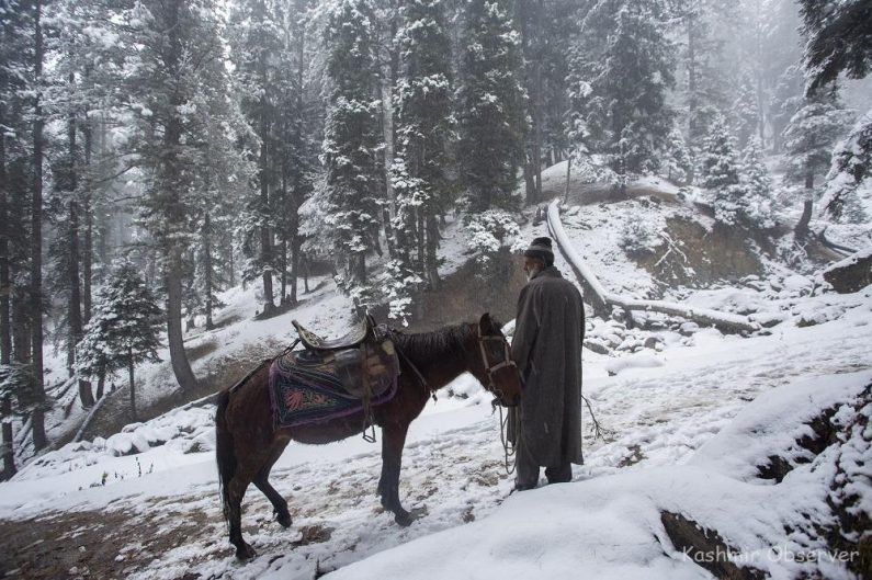 Chillai Kalan, Chillai Khurd, and Challai Bache - Kashmir Observer