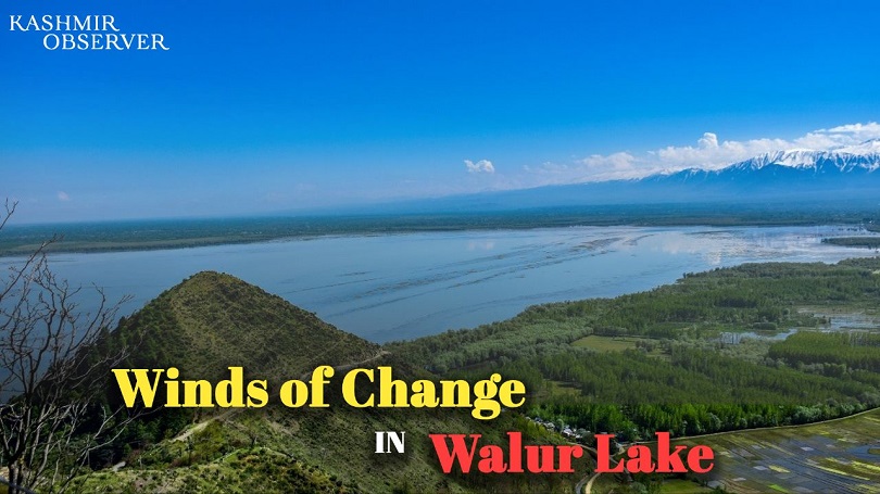 Winds of Change In Wular Lake – Kashmir Observer