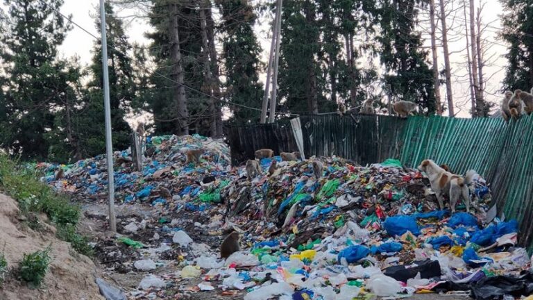 J&K Treats Less Than 20% Of Daily Solid Waste: Govt Data – Kashmir Observer