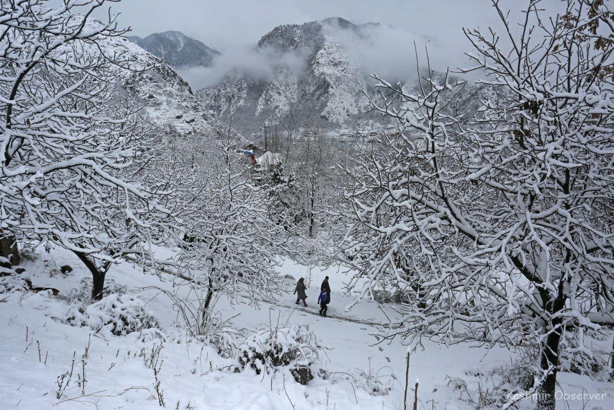 Fresh Snowfall Drapes Kashmir in White - Kashmir Observer