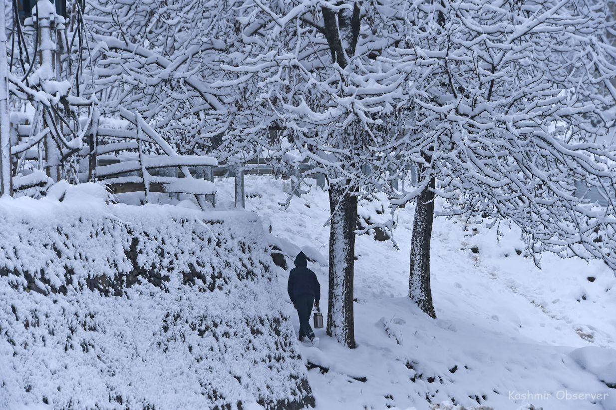 Fresh Snowfall In Kashmir Brings Relief From Freezing Temperatures ...