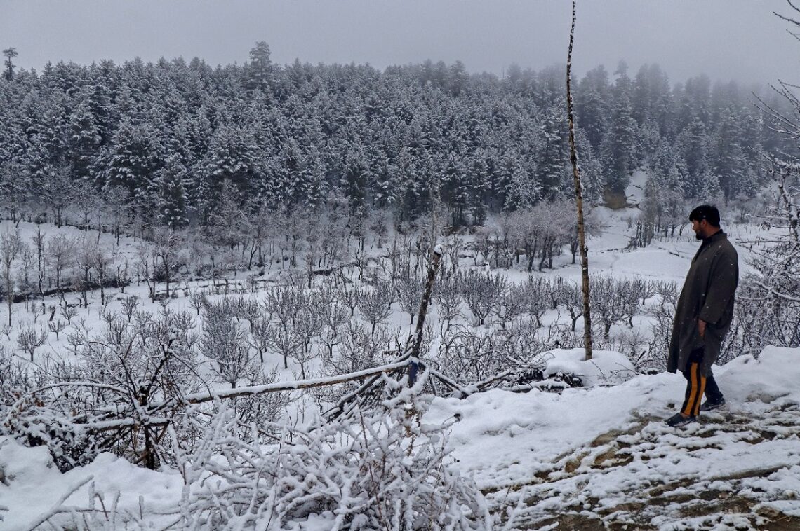 Kashmir Higher Reaches Receive Light Snowfall – Kashmir Observer