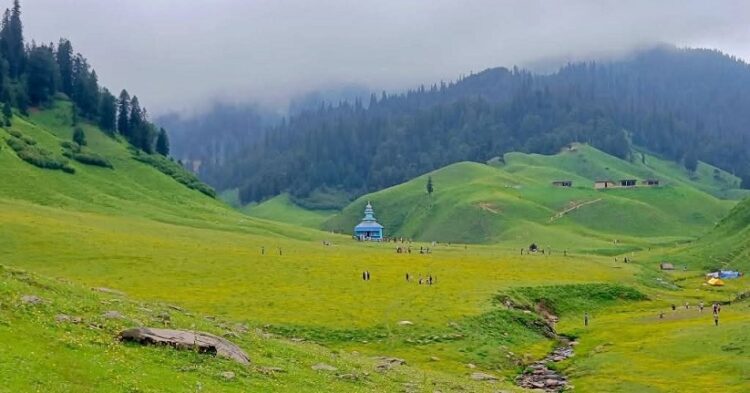 Bhal Padri: The Meadow of the Nomads – Kashmir Observer