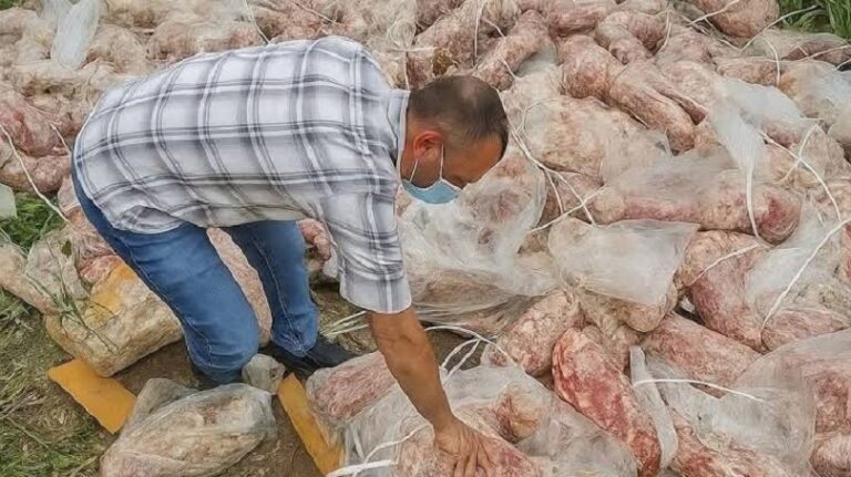 HC Seeks Govt’s Response On Rotten Meat In J&K – Kashmir Observer