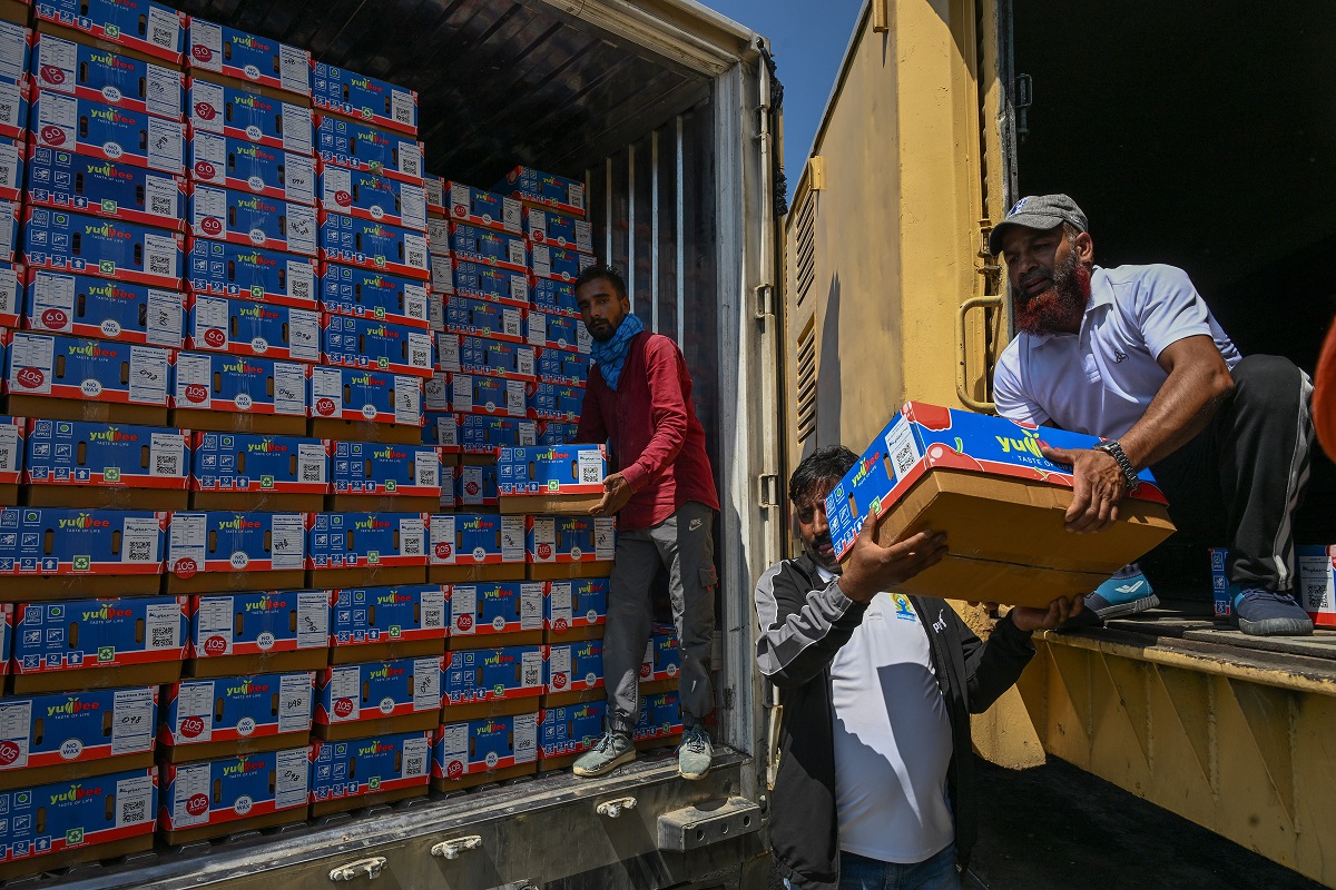 Kashmir Apples on Track, Growers Elated – Kashmir Observer