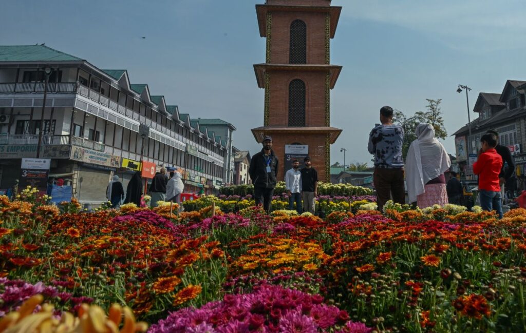 In Photos: Ghanta Ghar Blossoms with Colourful Gul-e-Dawood (Chrysanthemum) Show – Kashmir Observer