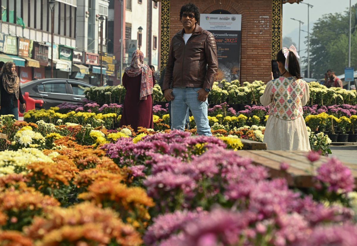 In Photos: Ghanta Ghar Blossoms with Colourful Gul-e-Dawood (Chrysanthemum) Show – Kashmir Observer