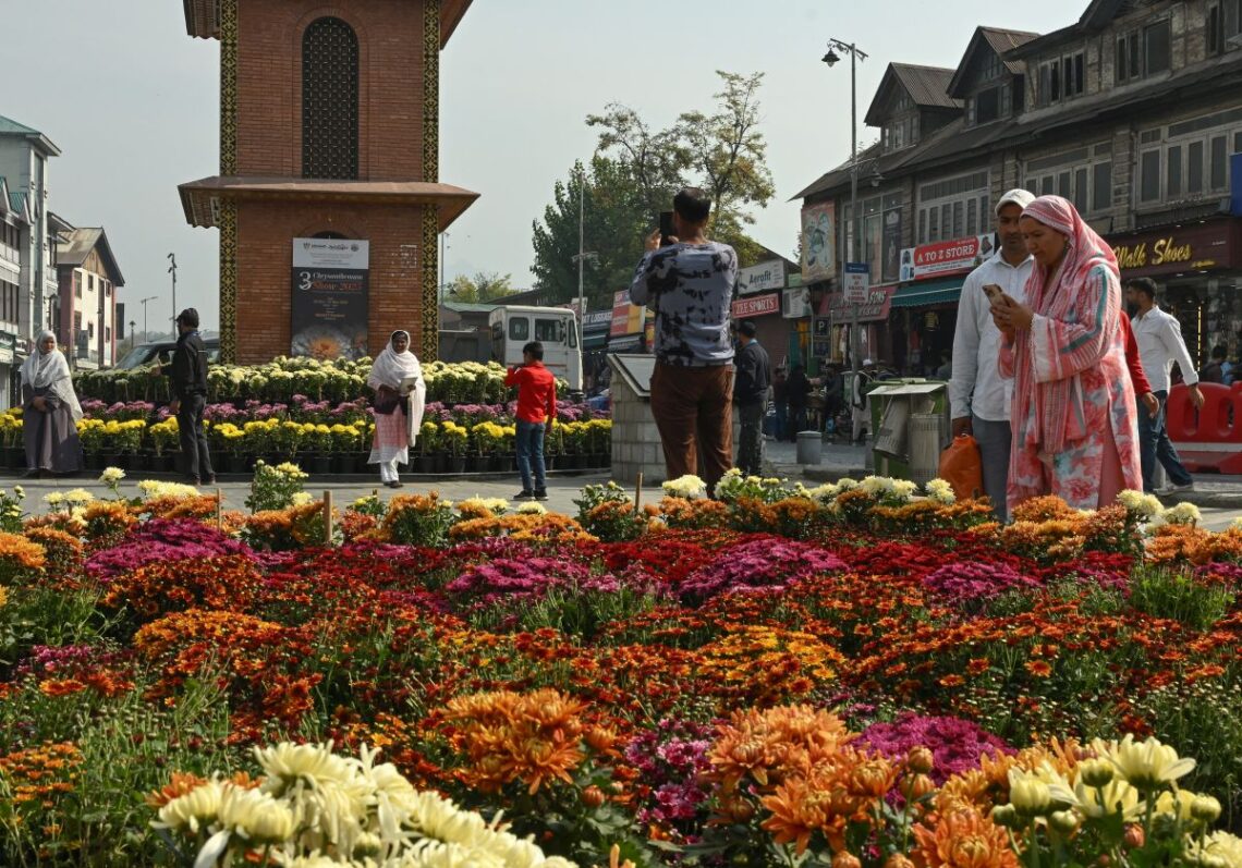 In Photos: Ghanta Ghar Blossoms with Colourful Gul-e-Dawood (Chrysanthemum) Show – Kashmir Observer