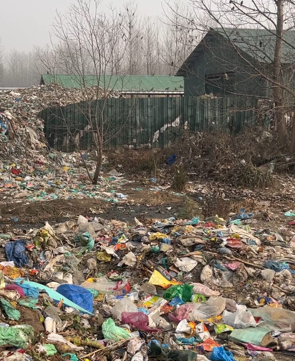 Kashmir’s Rs 6 Crore Waste Plant Becomes Open Dump, Sparks Outcry ...